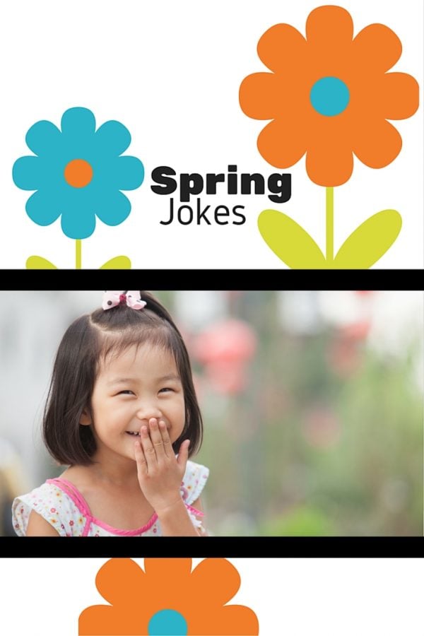 133 Silly Spring Jokes + Spring Puns for Kids PRINTABLE