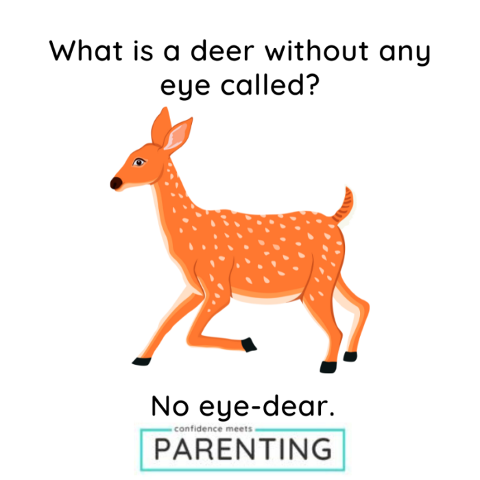 73 Fun Eye Puns and Eye Jokes for a Good Laugh PRINTABLE